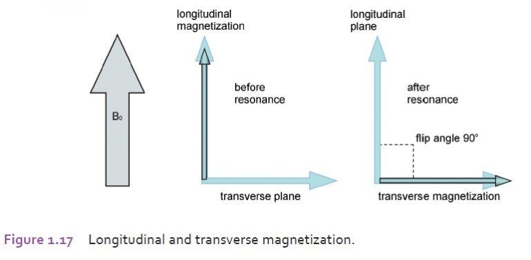 Free Induction Decay - FID | MRI FARSI